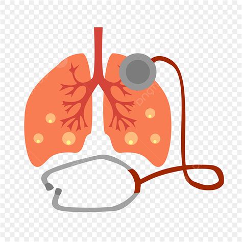 붉은 몸 일러스트 기관 인간의 장기 빨간 청진 기 공공 의료 서비스 청진기 클립 아트 붉은 신체 기관 인간 장기 Png 일러스트 및 Psd 이미지 무료 다운로드