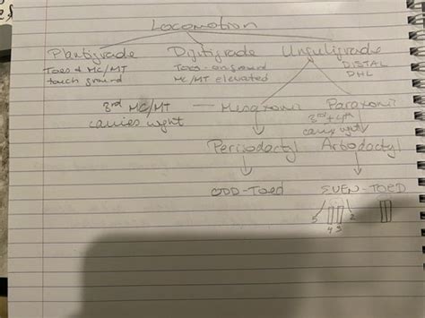 Locomotion Flashcards Quizlet