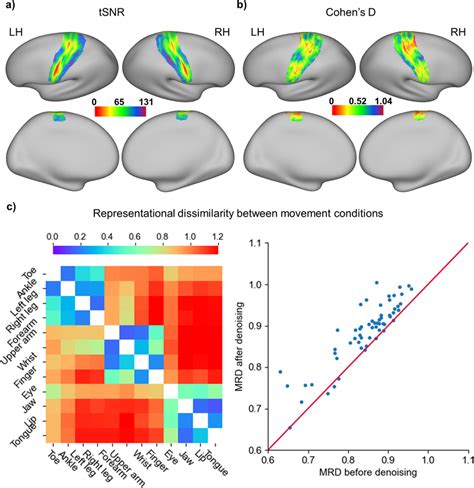 The Functional Magnetic Resonance Imaging Fmri Data Showed High