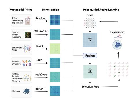 Researchers From Genentech And Stanford College Develop An Iterative