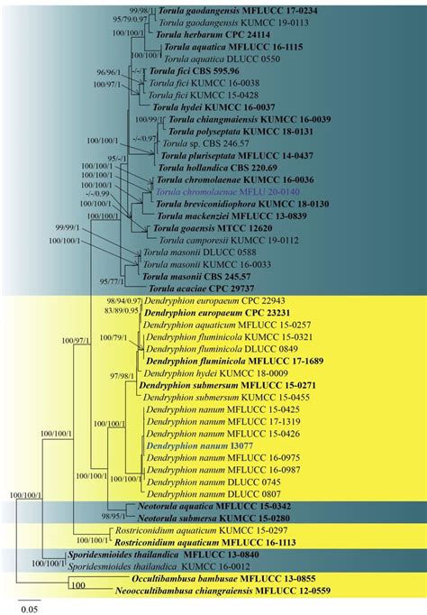 Phylogram Generated From Maximum Likelihood Analysis Based On Combined