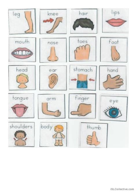 Body Parts Memory Game Pictionary P English ESL Worksheets Pdf Doc