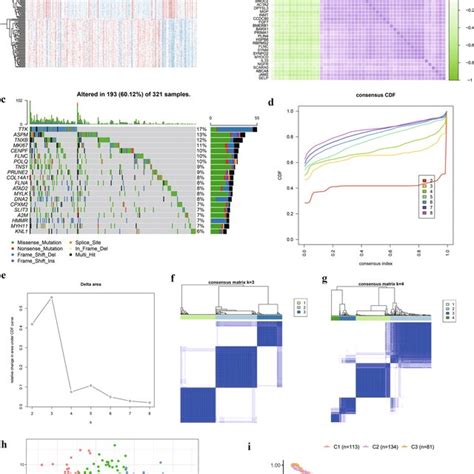 Analysis Of Key Genes And Molecular Typing Of Rna Modification Score Download Scientific