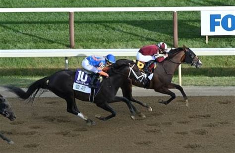 Head To Head See 2 Views Of A Hotly Contested Haskell Stakes
