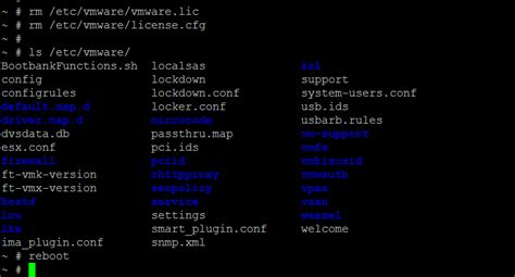 Running VMWare ESXi 60 Days Trial License Reset The License