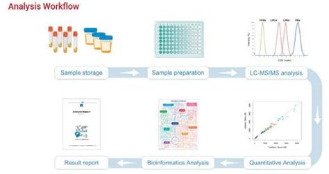 High Throughput Targeted Metabolomics The Next Generation