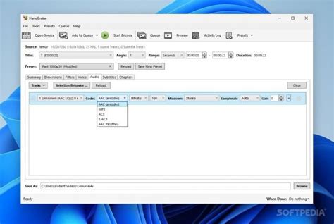 HandBrake Review A Comprehensive Open Source Video Converter Suite Softpedia