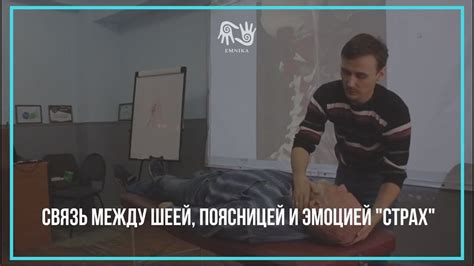 Связь между шеей поясницей и эмоцией страх Youtube