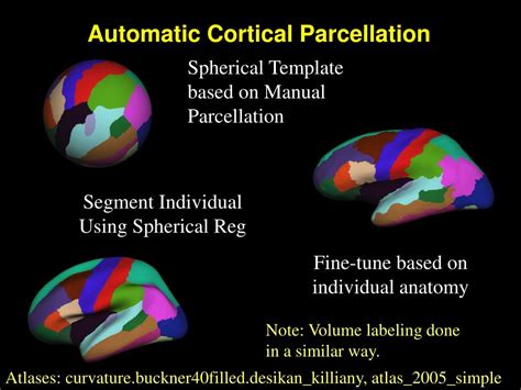 Ppt Freesurfer Automated Anatomical Analysis Surfernmrmghharvard Powerpoint Presentation