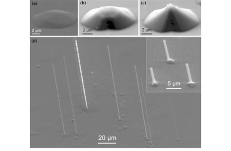 Sem Images Illustrating The Growth Sequence Of Aln Nanowires Based On