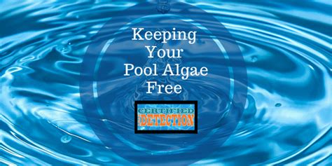 How To Keep Your Backyard Swimming Pool Algae Free