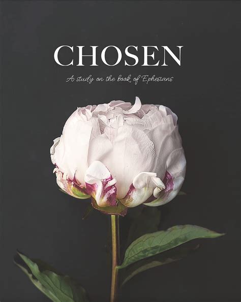 Chosen A Study On The Book Of Ephesians By The Daily Grace Co Goodreads