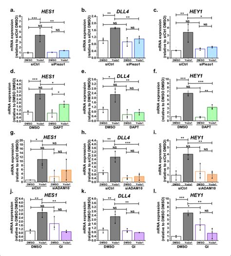 Function Significance For Downstream Gene Expression A B C