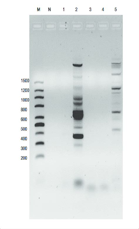 Demonstration Of Searching Results For Genes With Anti Pythium Download Scientific Diagram