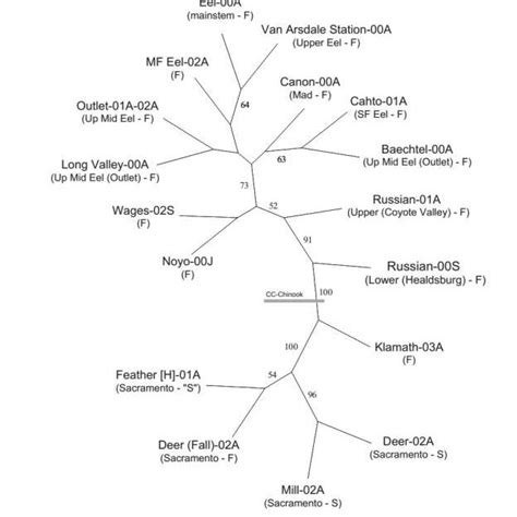 Bootstrap Consensus Tree Showing Genetic Relationships Among California