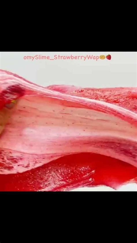 네이버 쇼핑라이브