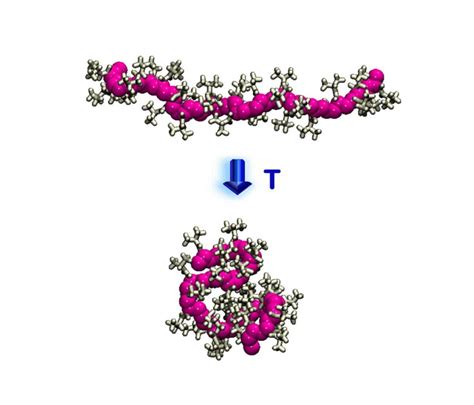 The Strange Case Of Pnipam Molecular Answer Of A Thermosensitive