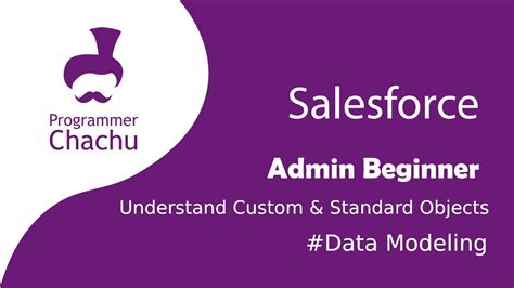 Understand Custom And Standard Objects Salesforce Admin Beginner Tutorials In Urdu Hindi Youtube