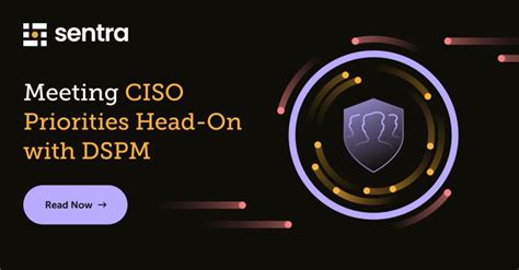 Rich Treiber On Linkedin Meeting Ciso Priorities Head On With Dspm