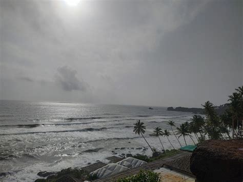 Shrinath Dakare On Linkedin Bugs Softwaredevelopment