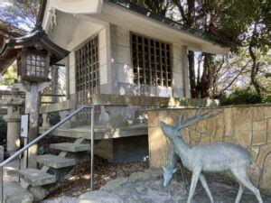 辰年に訪れたい福岡の龍神様で有名な神社仏閣5選2024版 神社テラス