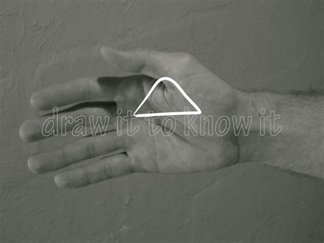 Gross Anatomy Glossary Adductor Pollicis Ditki Medical And Biological Sciences