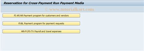 Obpm5 Sap Tcode Cross Payment Run Payment Medium