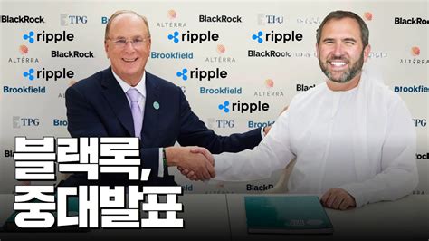 블랙록 중대발표 Xrp Youtube