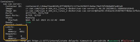 Sas Viya Topologies Sharing A Node Pool For Compute And Cas
