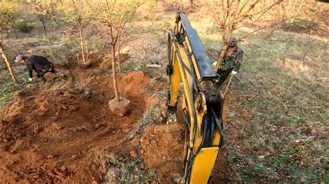 굴삭기tv 태이미니중기excavator Man 조경나무굴취 Youtube