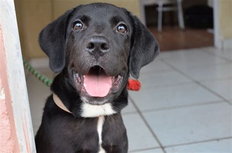 Djangoのmodelchoicefieldの初期値を設定する方法 知的好奇心