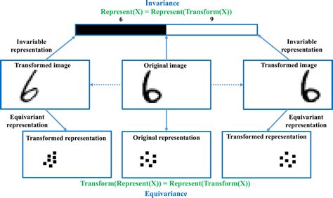 the difference between invariance and equivariance invariance performs