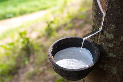 Natural Rubber Latex Partners In Chemicals