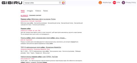 15 лучших поисковых систем в 2024 году Блог hostpro