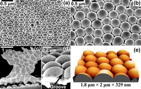 Sem Of 30° Tilted Samples With Hexagonally Ordered Inter Connected