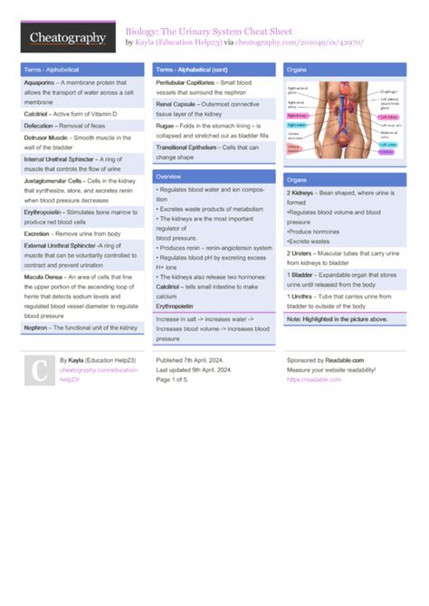 Biology The Urinary System Cheat Sheet By Education Help23 Download