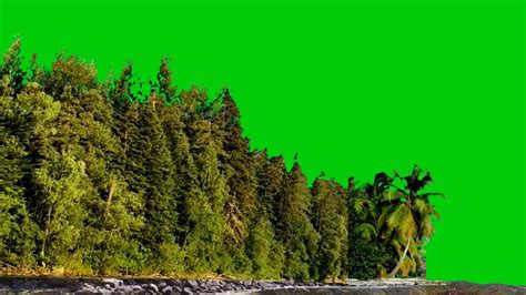 Nature Background Video Green Screen Youtube