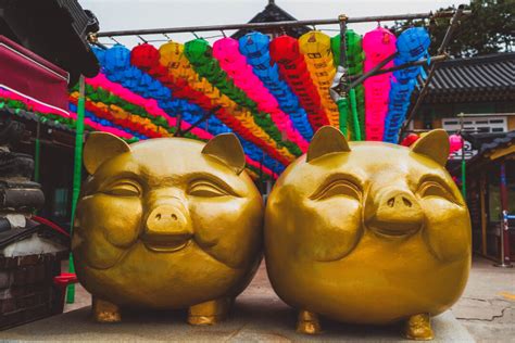 How To Visit Haedong Yonggungsa Busan Solosophie