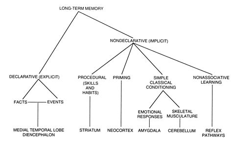 Declarative Memory Chart