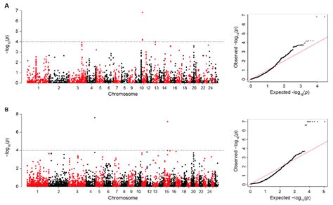Manhattan Plot Of Gwas Between Probes In Deleted Duplicated Cnvs And Download Scientific