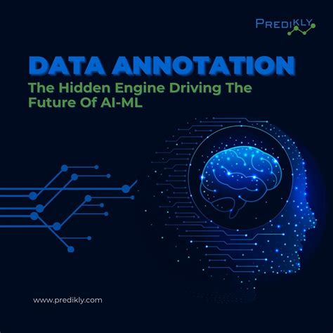 Predikly Data Annotation For Ai Ml Predikly Posted On The Topic Linkedin