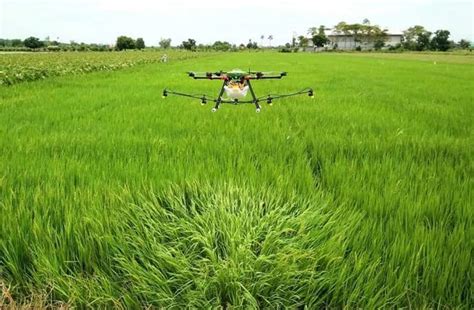 ตัวอย่าง Internet Of Thing Iot ที่ใช้ในเกษตรสมัยใหม่