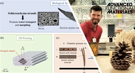 Check Out Thomas Latest Paper Published In Advanced Functional