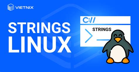 Cách Sử Dụng Lệnh Strings Linux Cho Người Mới 2025