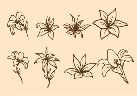 Lily Pad Vector Art Icons And Graphics For Free Download