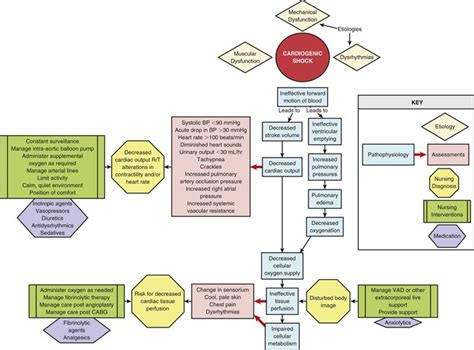 Sepsis Pathophysiology Concept Map