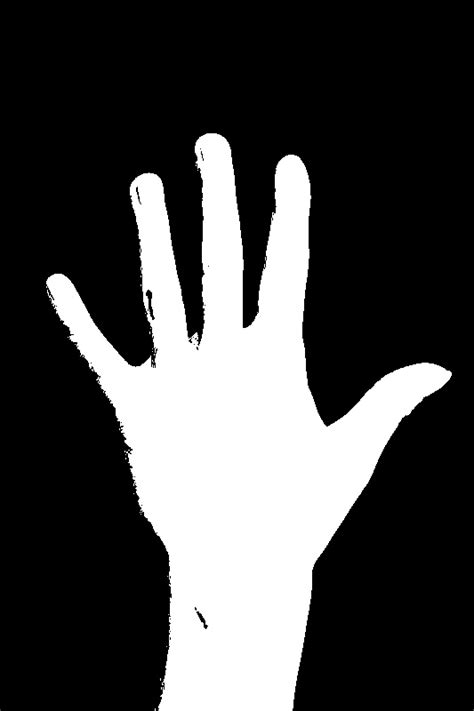 Python Opencv Convexitydefects On Largest Contour Gives Error Stack