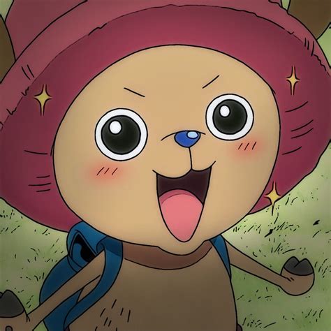 Tonytonychopper Chopper Chopperonepiece Chopper Tony One Piece Piecings Quick Storage