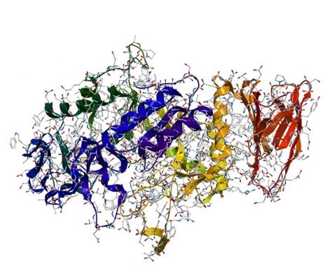 Enzymes At Best Price In Ahmedabad By Kathiyawadi International Id