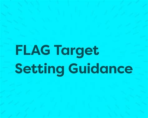 On Demand Webinar Flag Target Setting Guidance